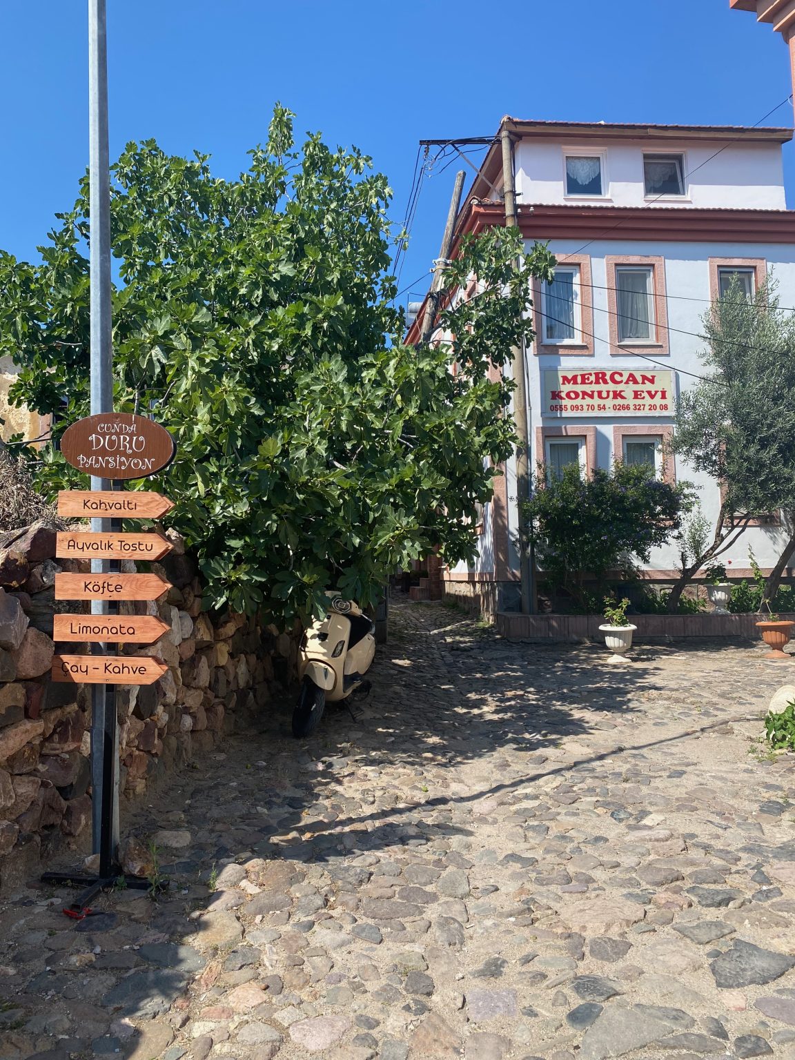 Best Things to Do in Cunda Island 2025 Guide - Wander Weavers