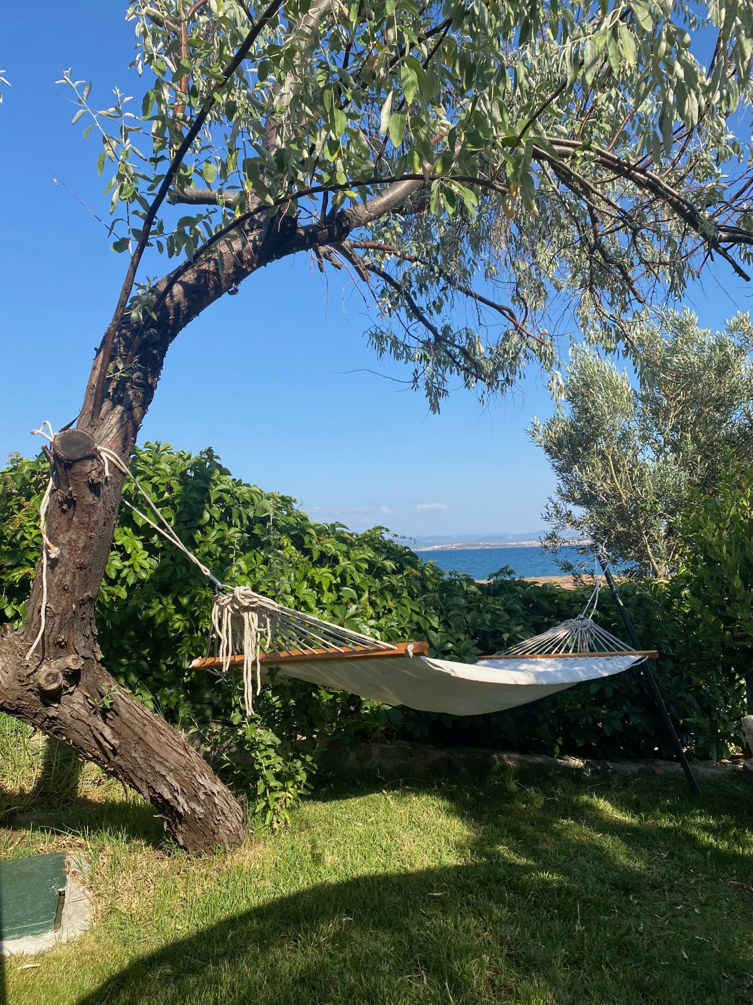 Best Things to Do in Cunda Island 2025 Guide - Wander Weavers