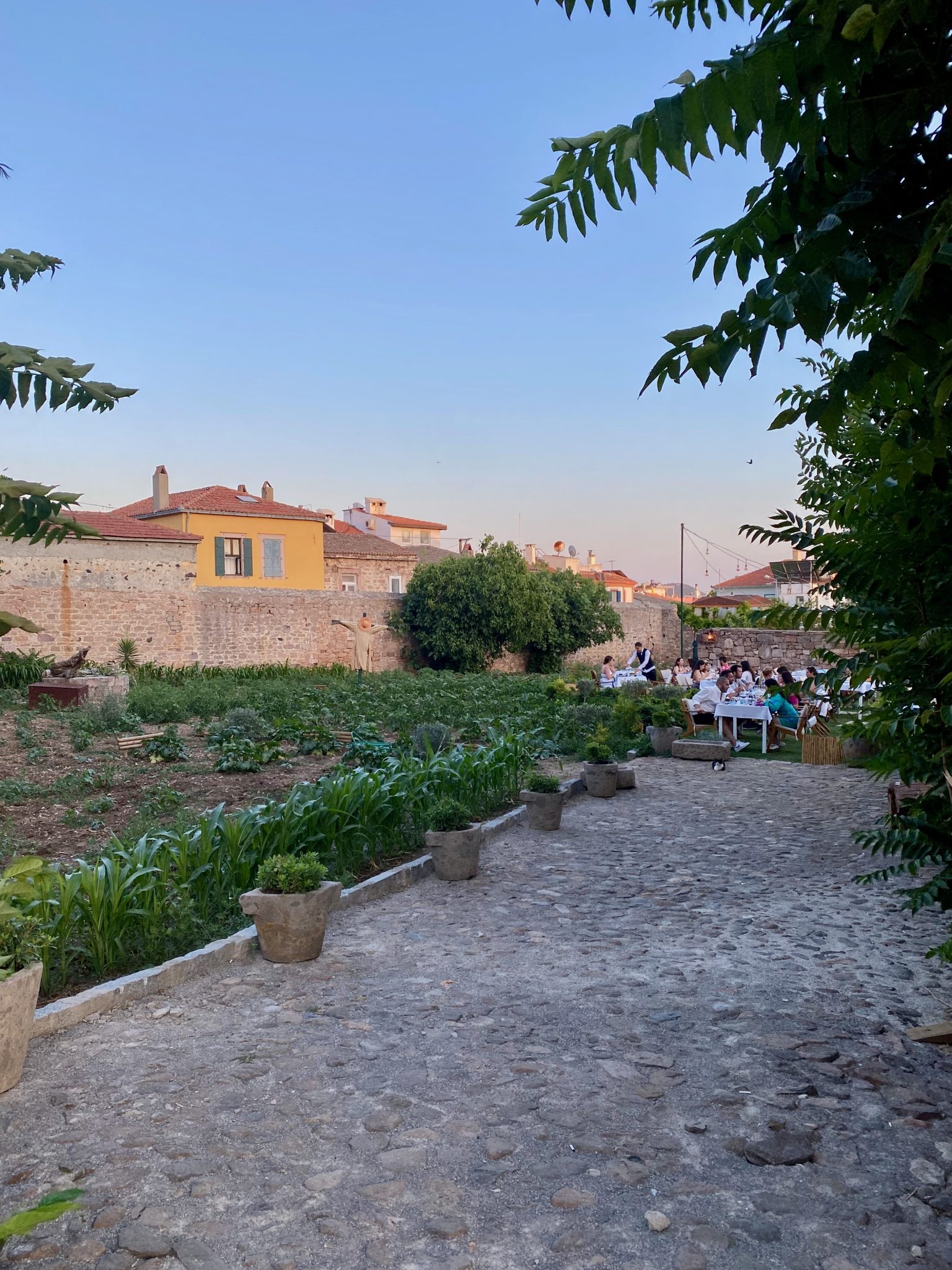 Best Things to Do in Cunda Island 2025 Guide - Wander Weavers